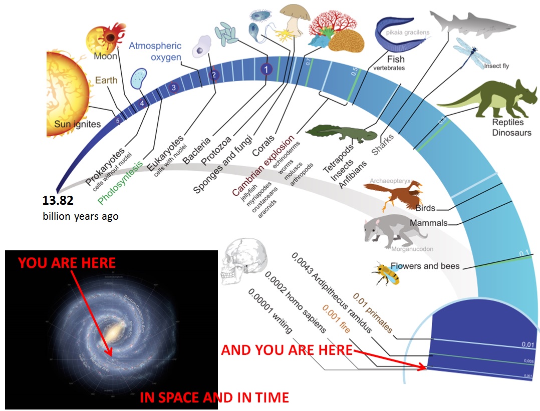 Colloquia for ‘Learning to Think in the Anthropocene’ – Institute for ...